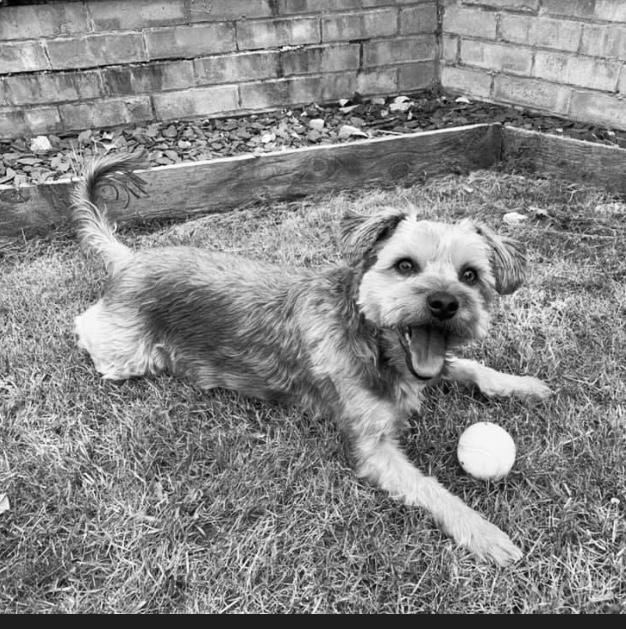 About Us - Stotto Build